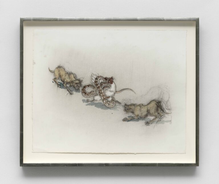 Jared Buckhiester | White Columns